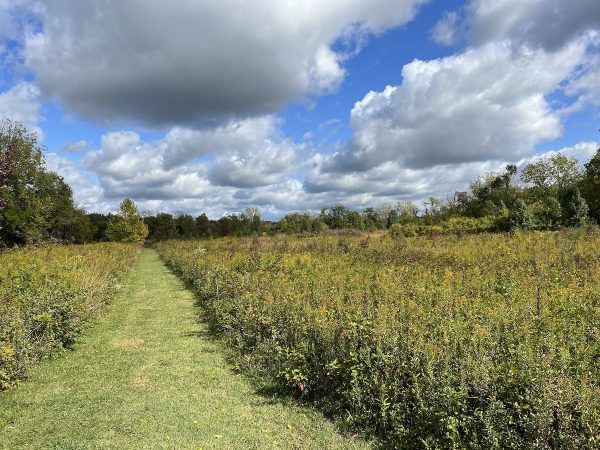 Prairie | Valley View Nature Preserve